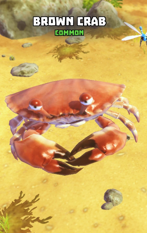 Brown Crab | King Of Crabs Wiki | Fandom