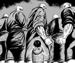 Clan Kakuriki | Kingdom Wiki | Fandom