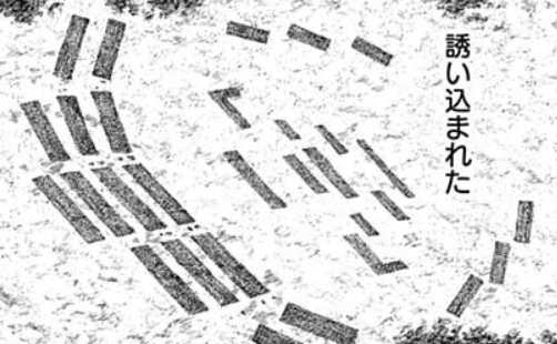 Cage Formation | Kingdom Wiki | Fandom