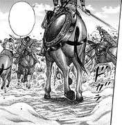 Duke Hyou's Shield | Kingdom Wiki | Fandom