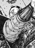 Hi Shin Unit | Kingdom Wiki | Fandom