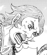 Hi Shin Unit | Kingdom Wiki | Fandom