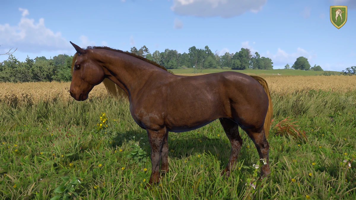Meadow | Kingdom Come: Deliverance Wiki | Fandom