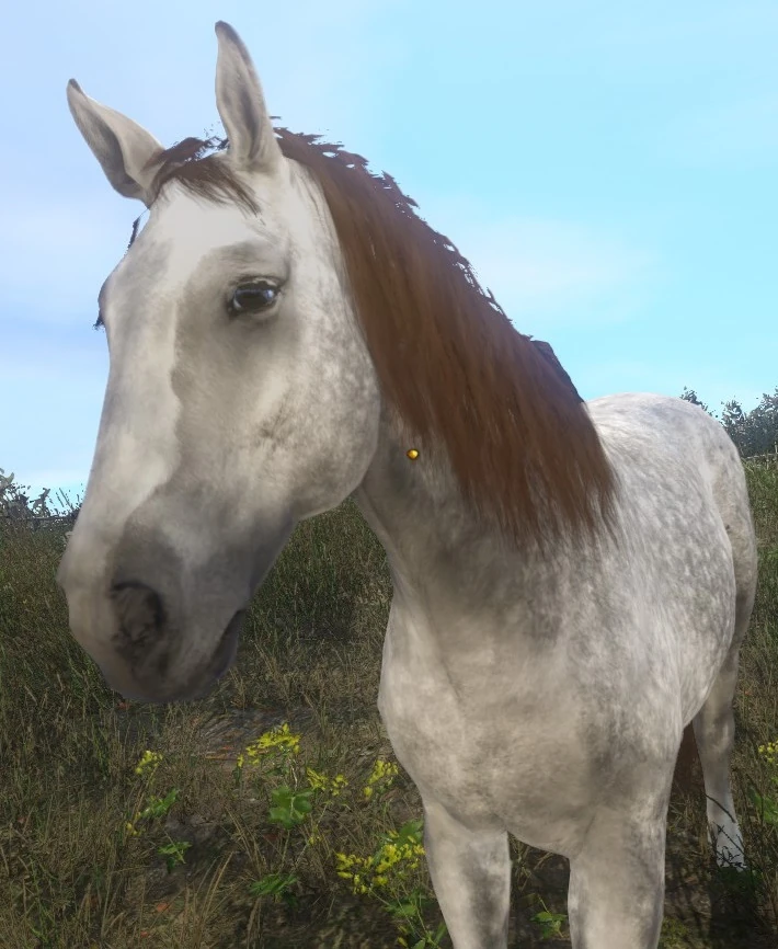 Kanthaka | Kingdom Come: Deliverance Wiki | Fandom