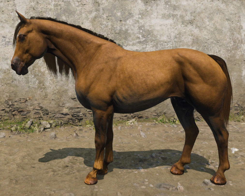 Kincsem | Kingdom Come: Deliverance Wiki | Fandom