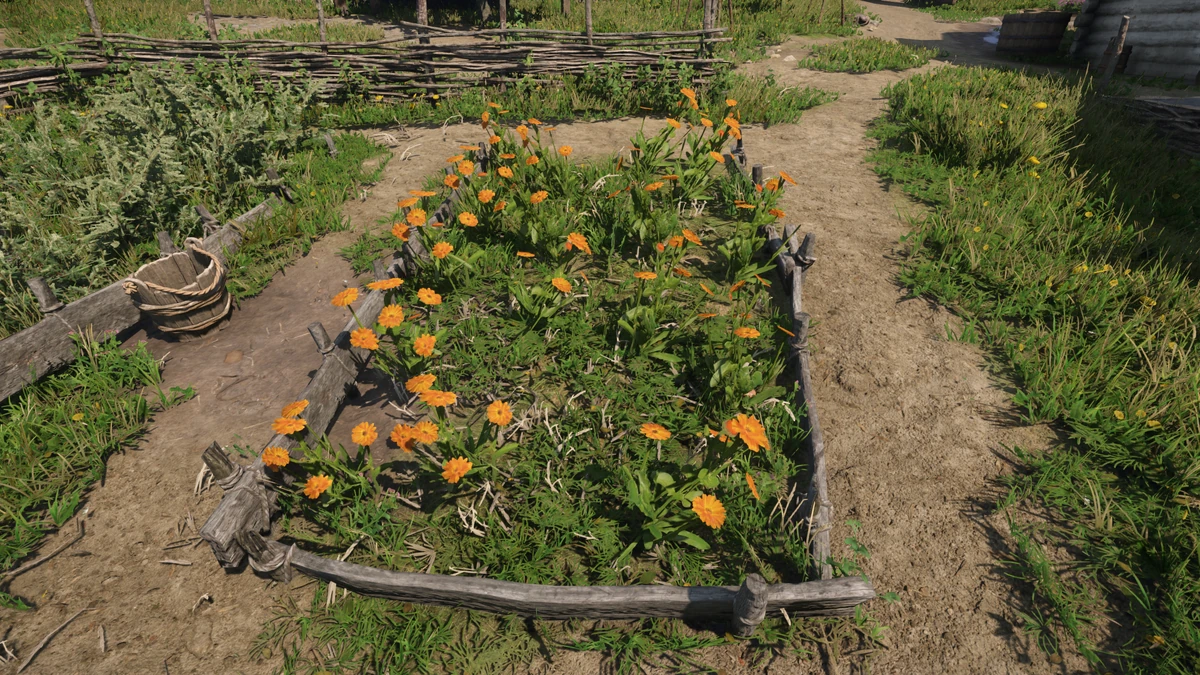 Marigold/KCD2 | Kingdom Come: Deliverance Wiki | Fandom