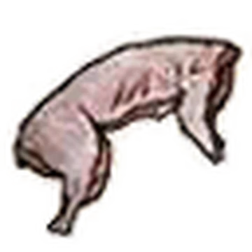 how to cook meat in kingdom come deliverance