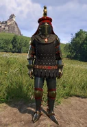 Brunswick's armour | Kingdom Come: Deliverance Wiki | Fandom