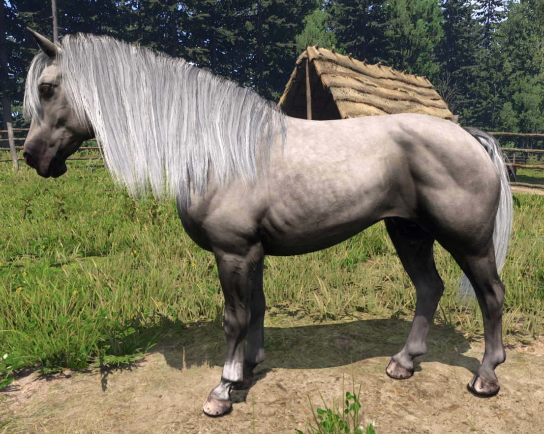 Artax | Kingdom Come: Deliverance Wiki | Fandom