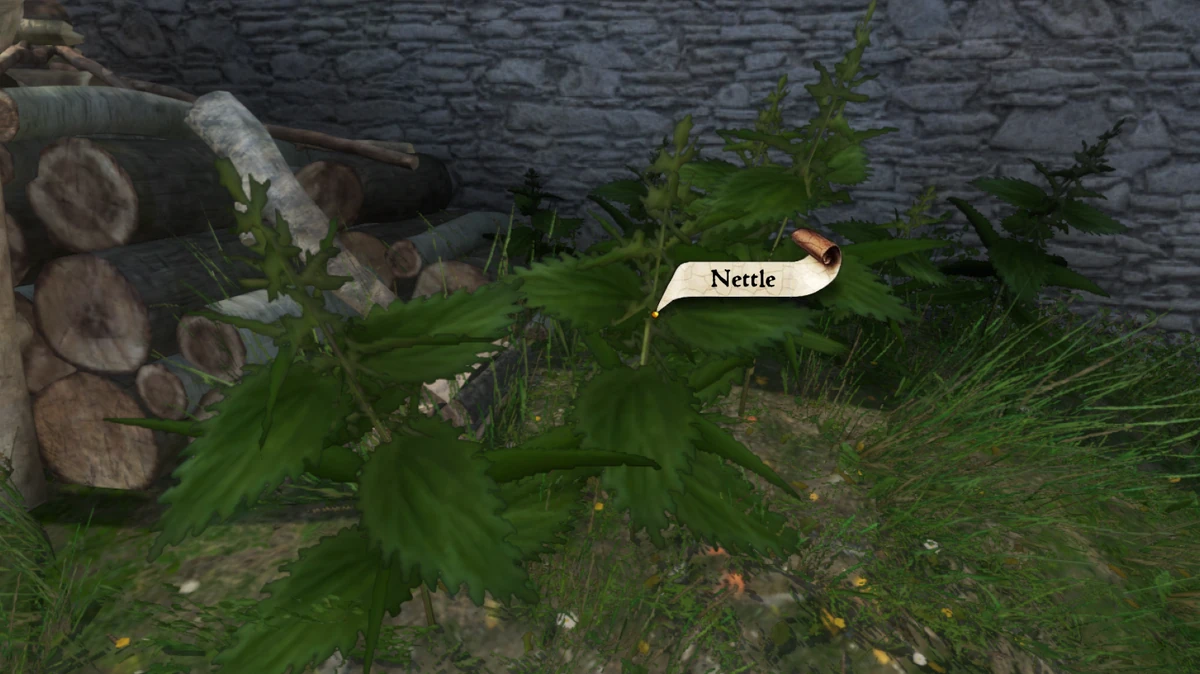 Nettle | Kingdom Come: Deliverance Wiki | Fandom