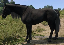 Pepik | Kingdom Come: Deliverance Wiki | Fandom
