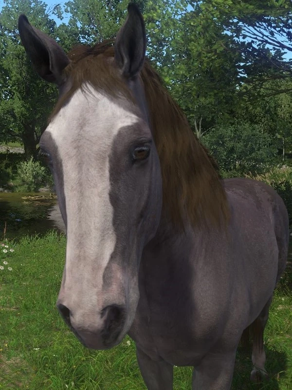 Tulpar | Kingdom Come: Deliverance Wiki | Fandom