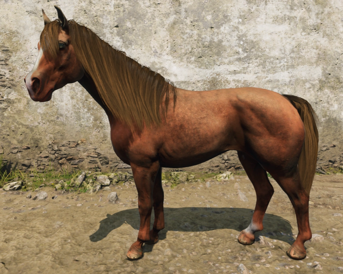 Gavora | Kingdom Come: Deliverance Wiki | Fandom