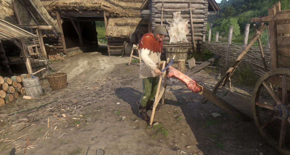 Skin | Kingdom Come: Deliverance Wiki | Fandom
