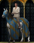 Попона | Kingdom Come: Deliverance Wiki | Fandom