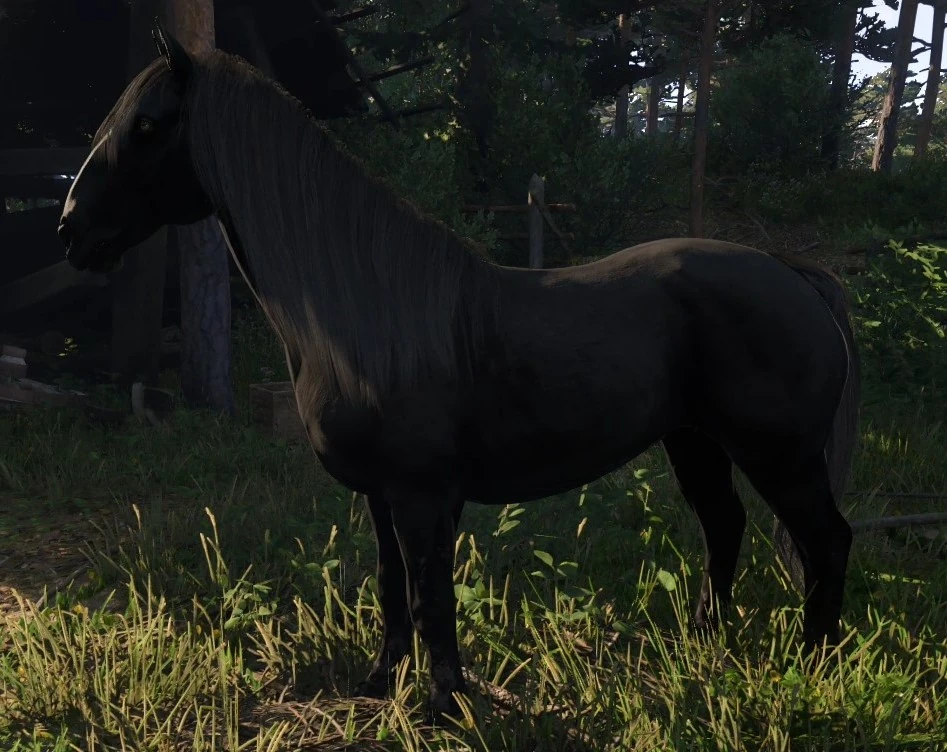 Vranik | Kingdom Come: Deliverance Wiki | Fandom