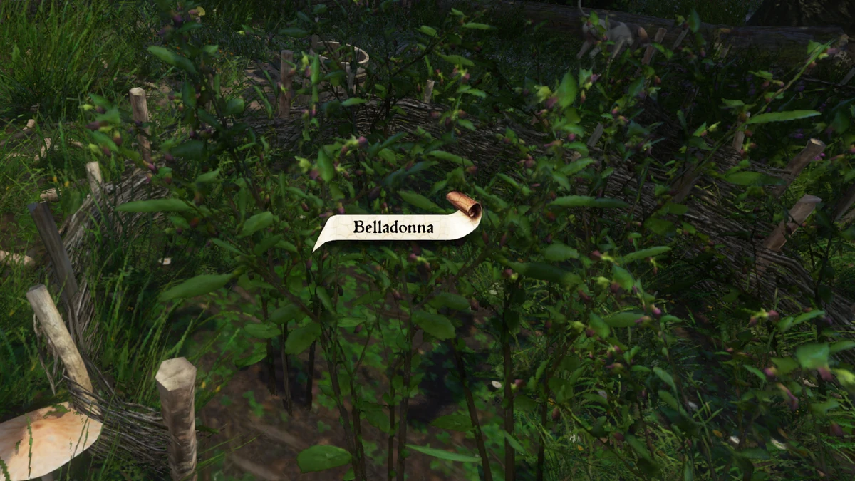 Category:KCD ingredients | Kingdom Come: Deliverance Wiki | Fandom