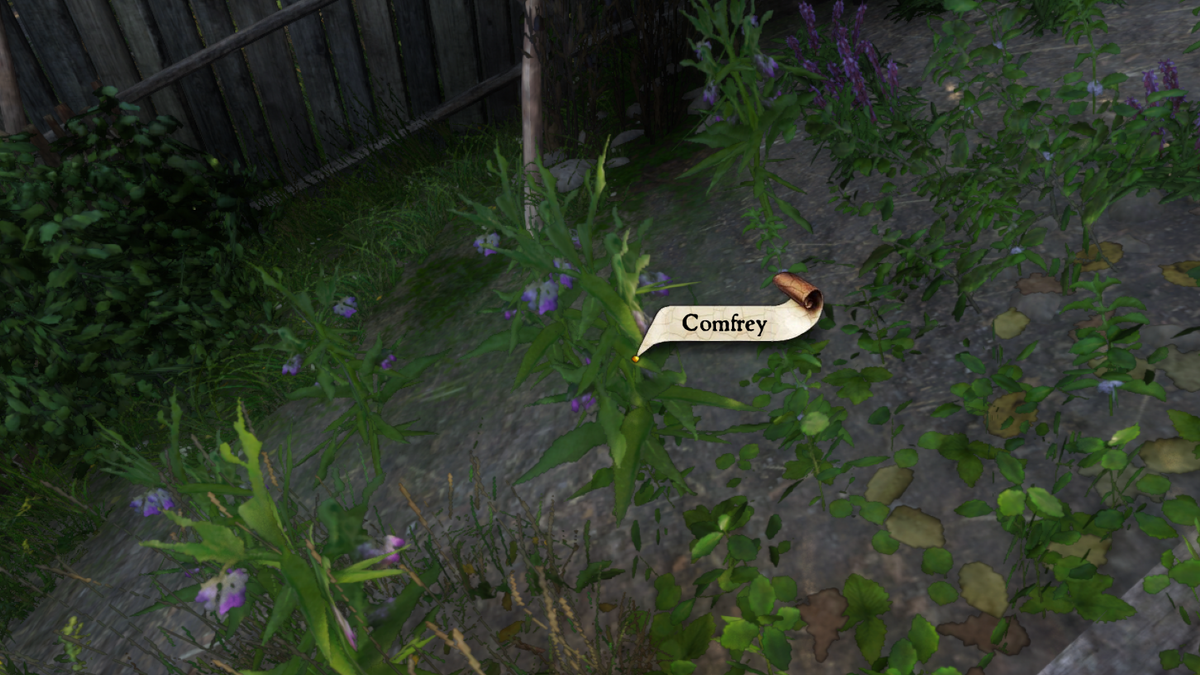 Comfrey Kingdom Come Deliverance Wiki Fandom