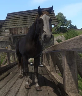 Shadowmere | Kingdom Come: Deliverance Wiki | Fandom