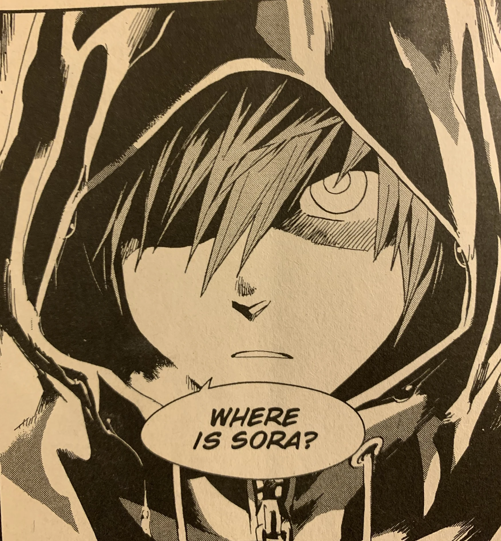 Kingdom Hearts Roxas And Sora Drawing