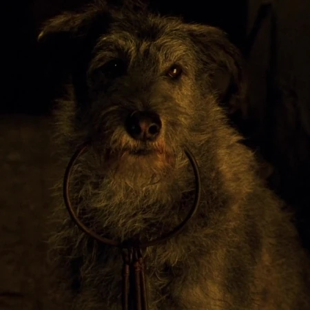 The Prison Dog | Kingdom Hearts Unlimited Wiki | Fandom