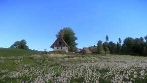 Bauer Farm - Kingdom Come: Deliverance Wiki