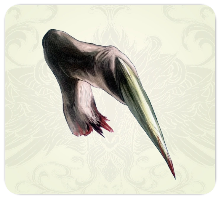 Phoenix Finger | Kingdom Death Wiki | Fandom
