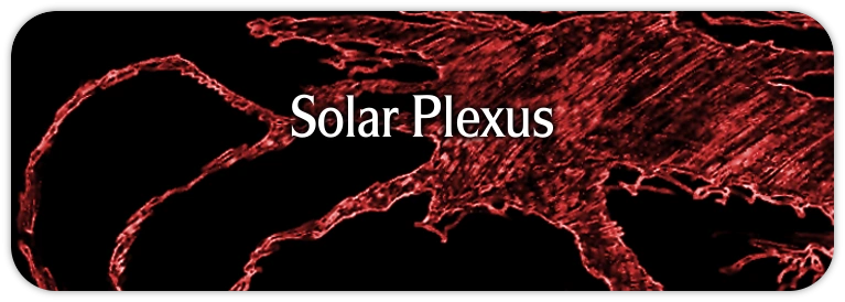 Solar Plexus | Kingdom Death Wiki | Fandom