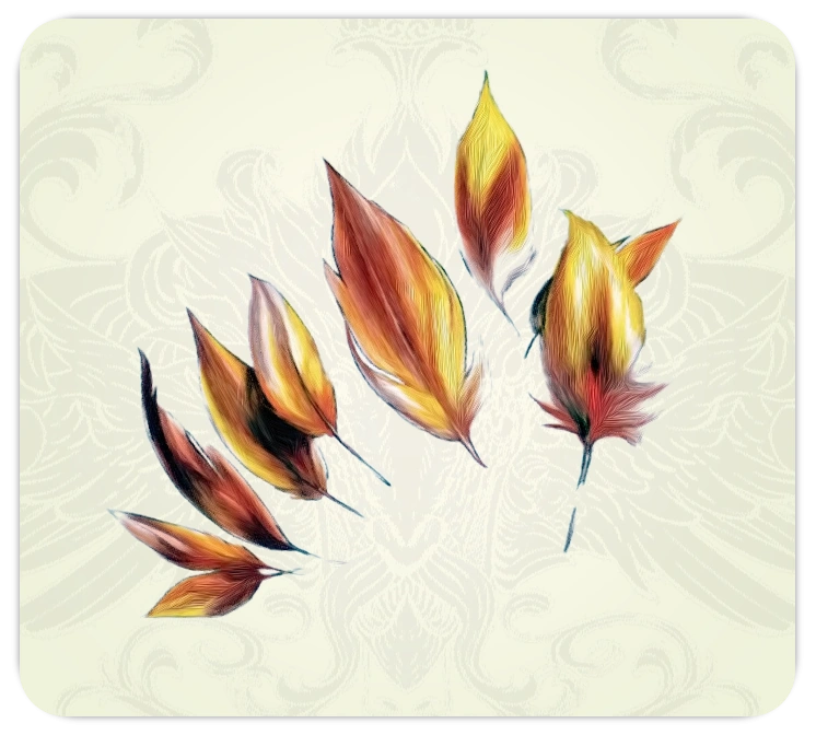 Small Feathers | Kingdom Death Wiki | Fandom