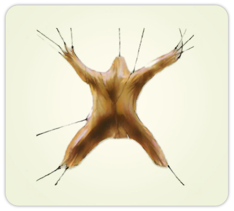 Monster Hide | Kingdom Death Wiki | Fandom