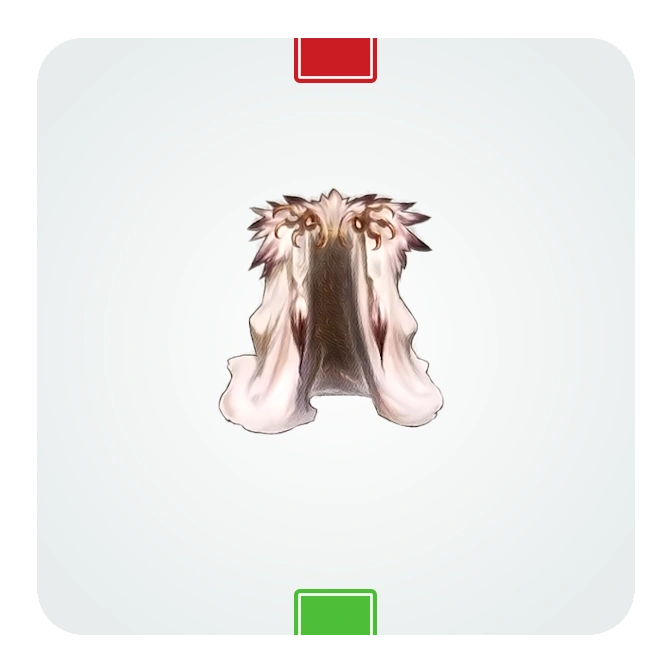 Lion Slayer Cape | Kingdom Death Wiki | Fandom