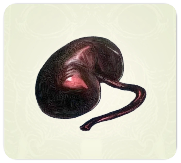 Category:Gorm Monster Resources | Kingdom Death Wiki | Fandom