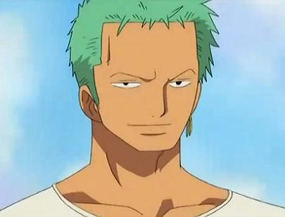 Roronoa Zoro | Kingdom Hearts Fan Fiction | Fandom