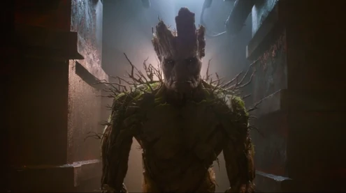 Groot (TTR) | Kingdom Hearts Fanon Wiki | Fandom