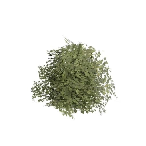 Shrubbery | Kingdoms Reborn Wiki | Fandom