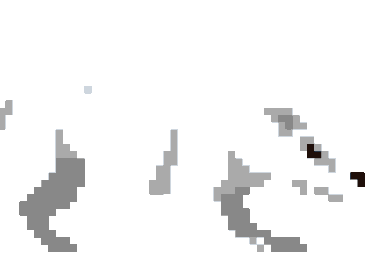 Baby Wolf Howling Gif