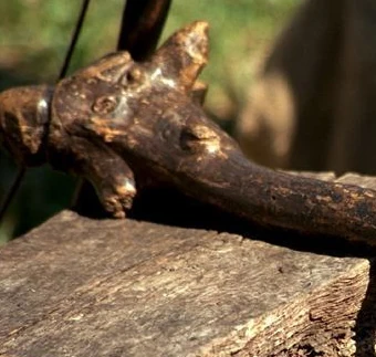 Troll Club | Kingdom Wars: Elf, Men, Undead Wiki | Fandom