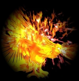 Phoenix | Kingdom Wars: Elf, Men, Undead Wiki | Fandom