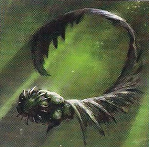 Profanus | King Kong Wiki | Fandom