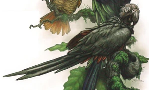 Great Carrion Parrot | King Kong Wiki | Fandom