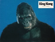 Kong (1976) | King Kong Wiki | Fandom