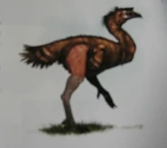 Hylaeornis | King Kong Wiki | Fandom
