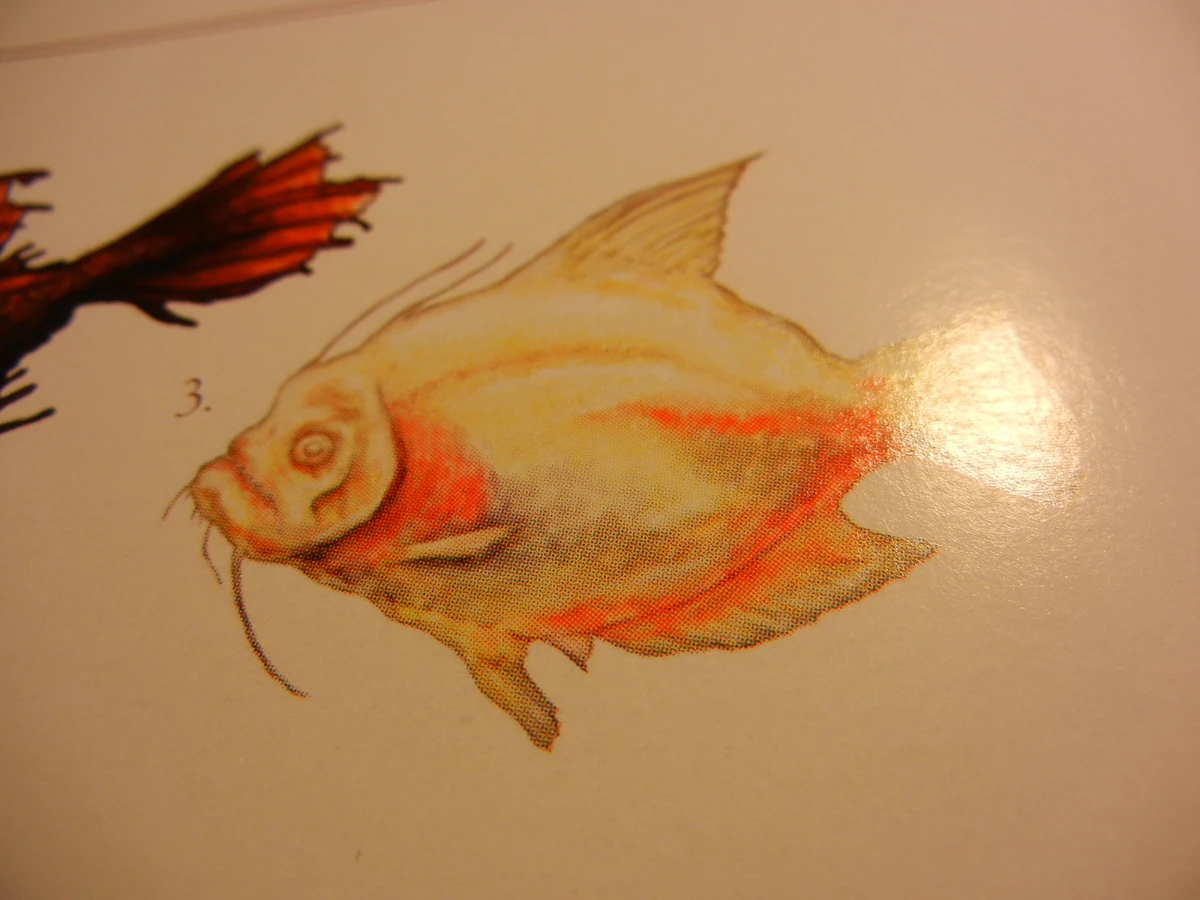 Rogue Fish | King Kong Wiki | Fandom