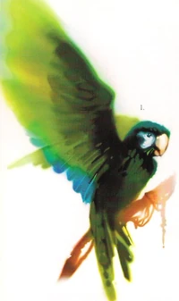 Martial Parrot | King Kong Wiki | Fandom