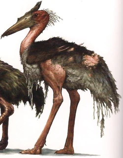 Profanornis spinosus | King Kong Wiki | Fandom