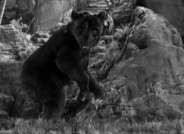 Wielki Niedźwiedź | King Kong Wiki | Fandom