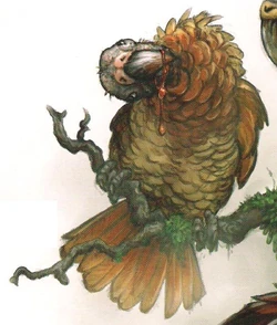Red Carrion Parrot | King Kong Wiki | Fandom