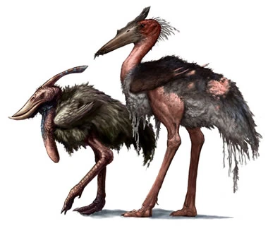 Carrion Storks | King Kong Wiki | Fandom