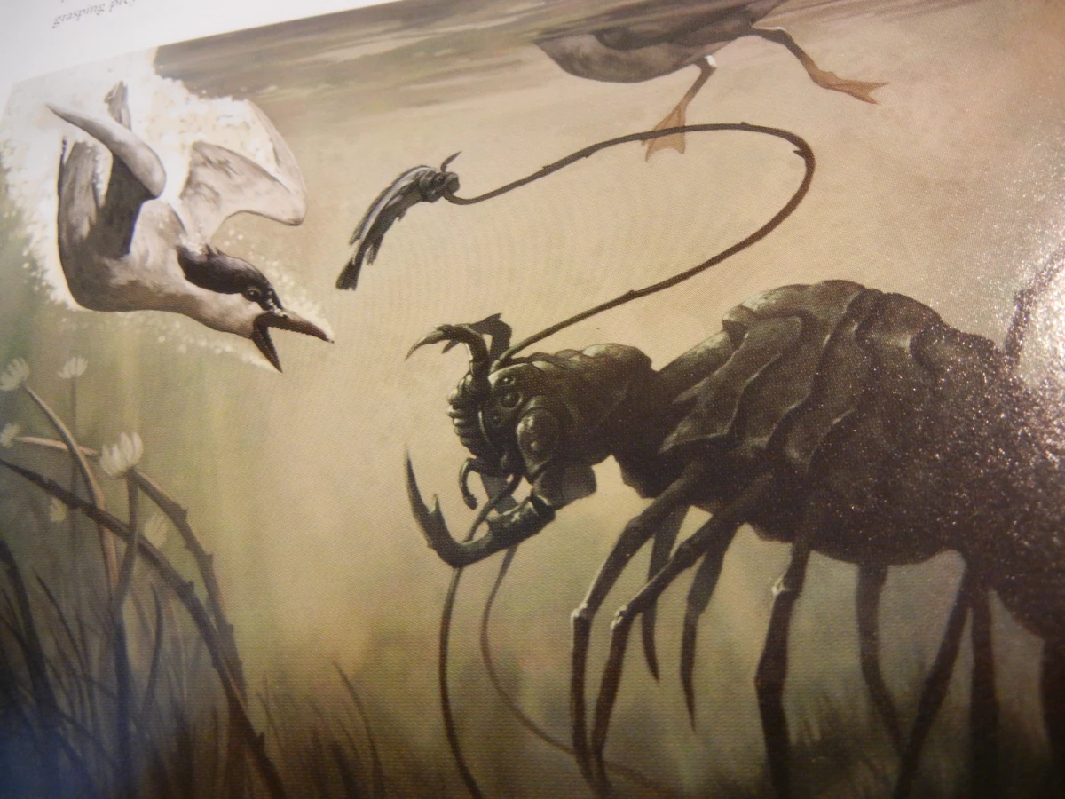 Mortifillex | King Kong Wiki | Fandom