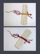 Alatusaurus Cinnabaris | King Kong Wiki | Fandom